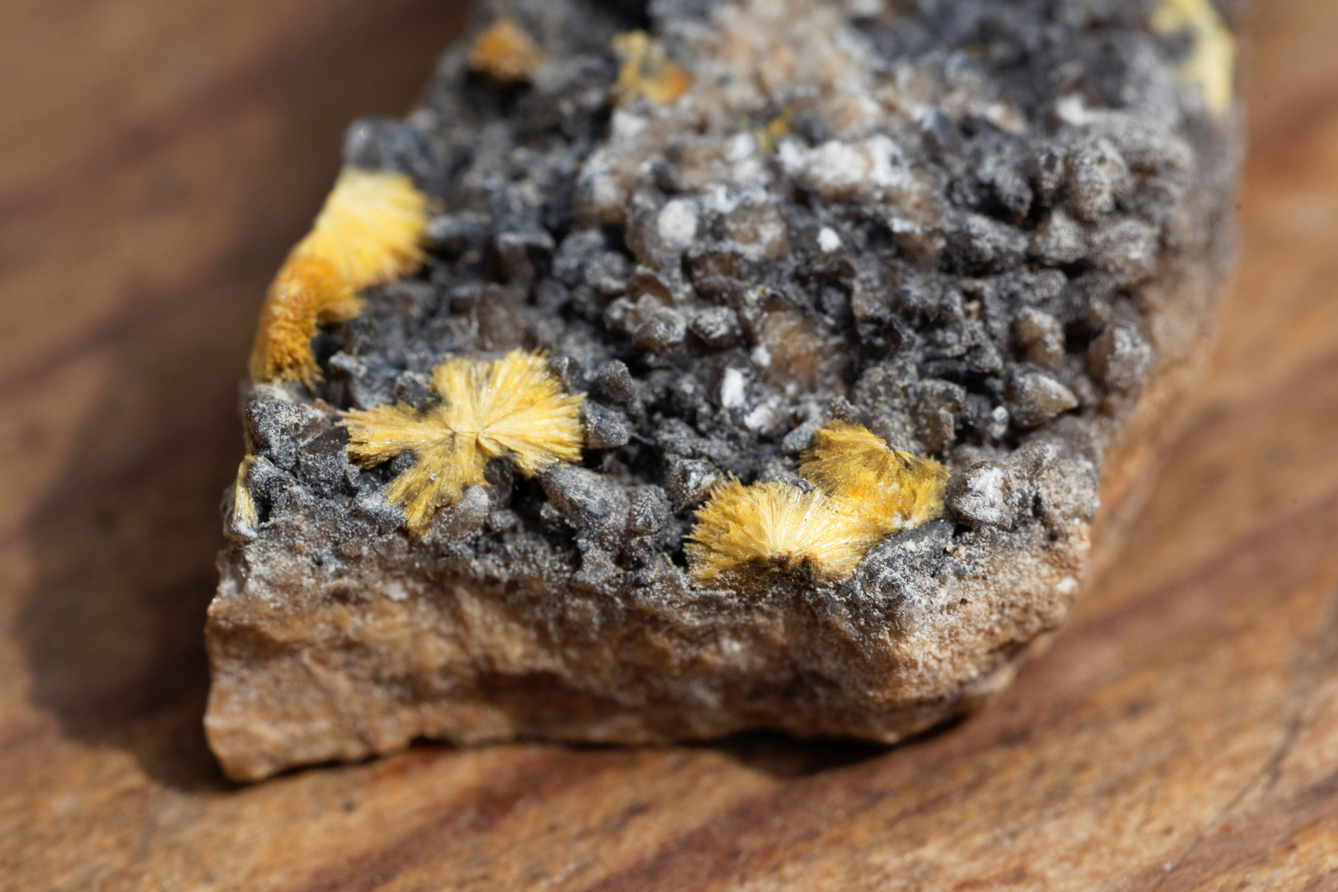 Uranium – the facts and fallacies - Milford Asset